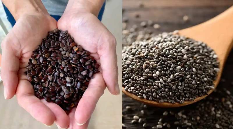 What are Chaksu Seeds, their uses, and their benefits? | Piccle