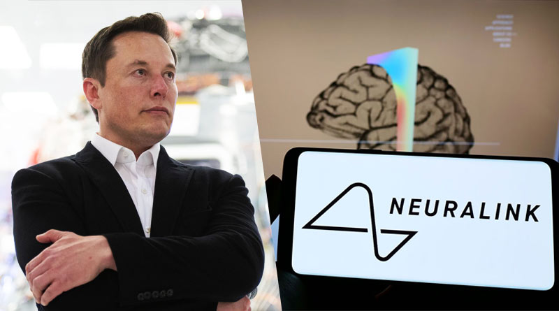 Neuralink: Exploring the Key Facts of Elon Musk’s Brain Implant ...