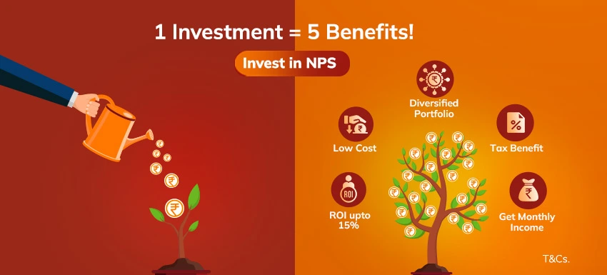 Securing Your Retirement: Unlock the Benefits of NPS Contributions | Piccle