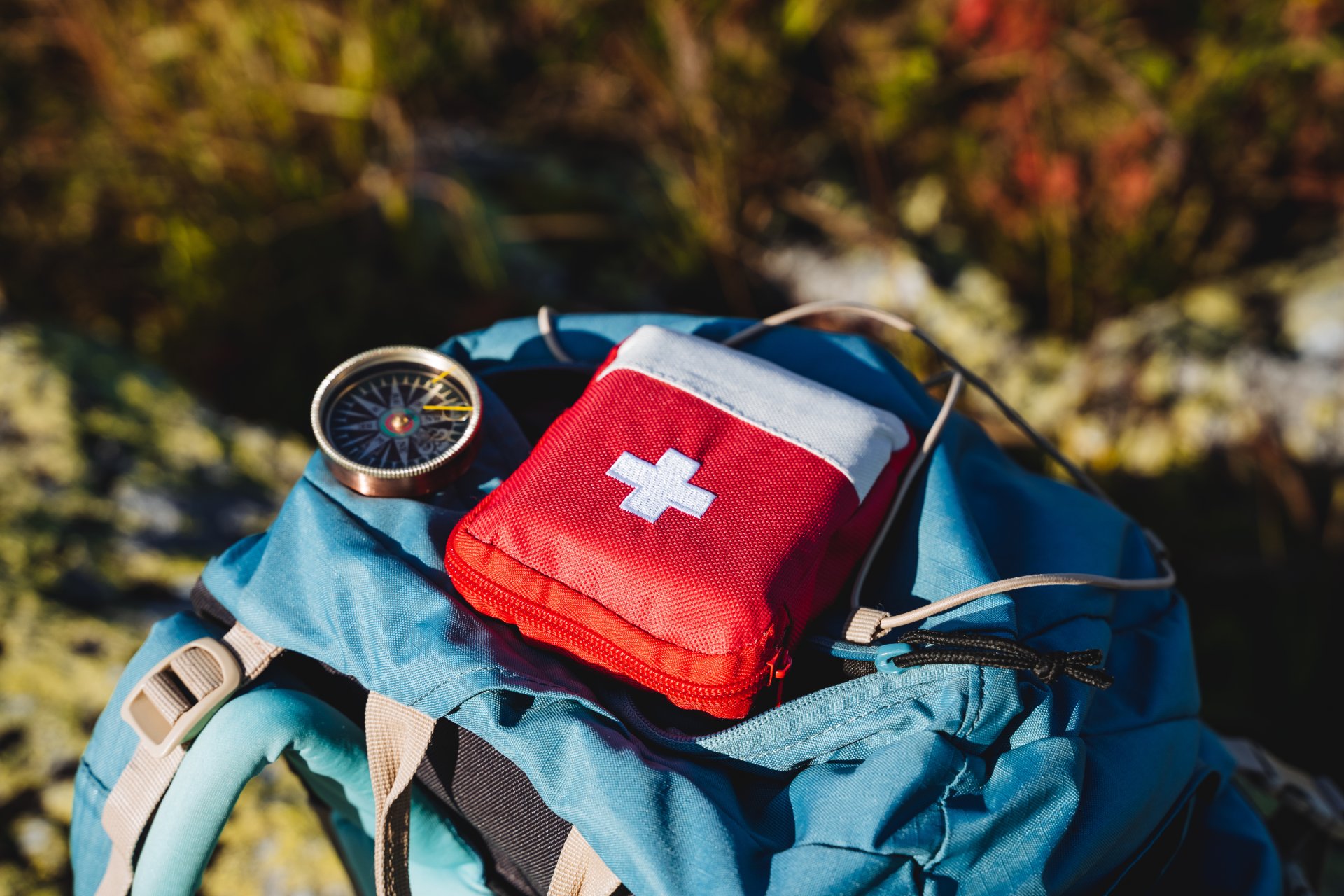 Safety First: Precautions and Preparedness for Travel Emergencies | Piccle